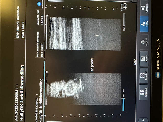 Holly D.K. (DK) – Travera.nu