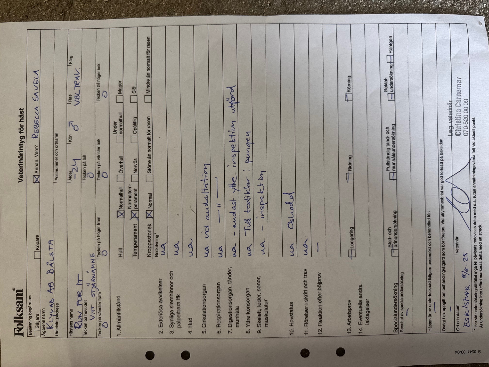 Run for It – Travera.nu