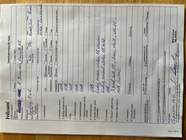 Landing Field – Travera.nu