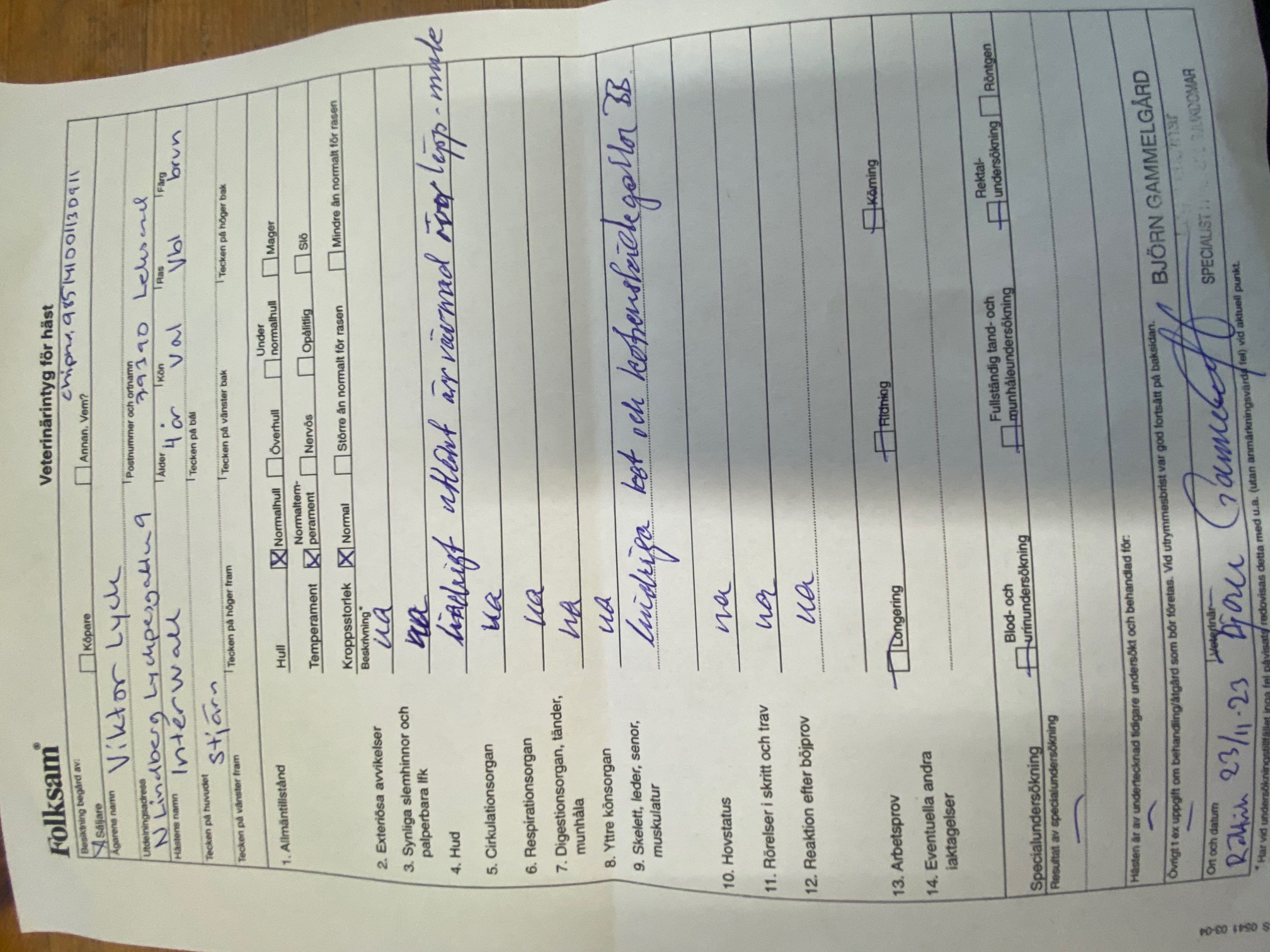 Interwall – Travera.nu