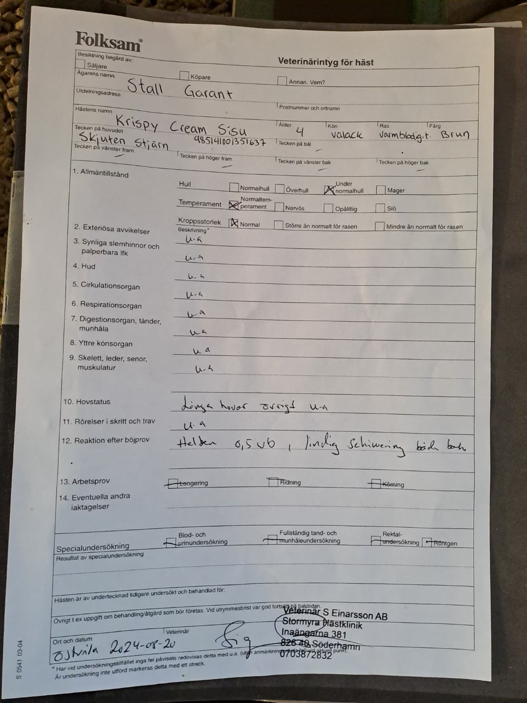 Krispy Cream Sisu – Travera.nu