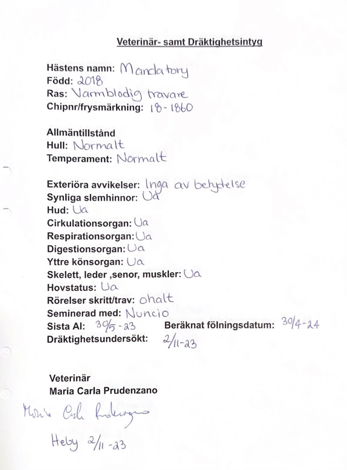 Mandatory – Travera.nu