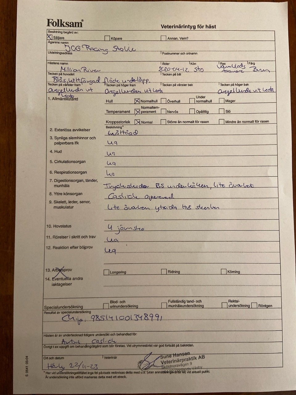 Million River – Travera.nu