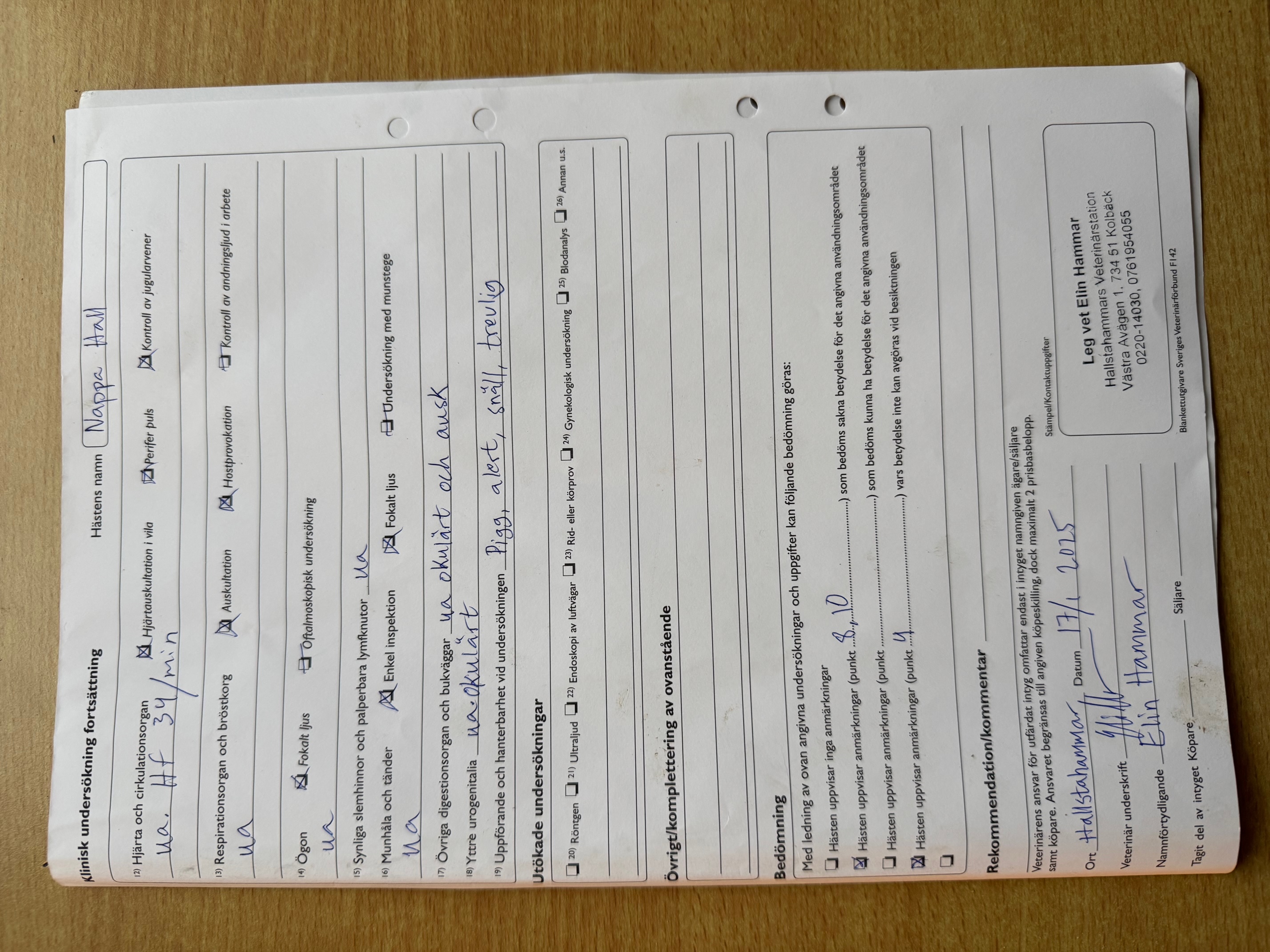 Nappa Hall – Travera.nu