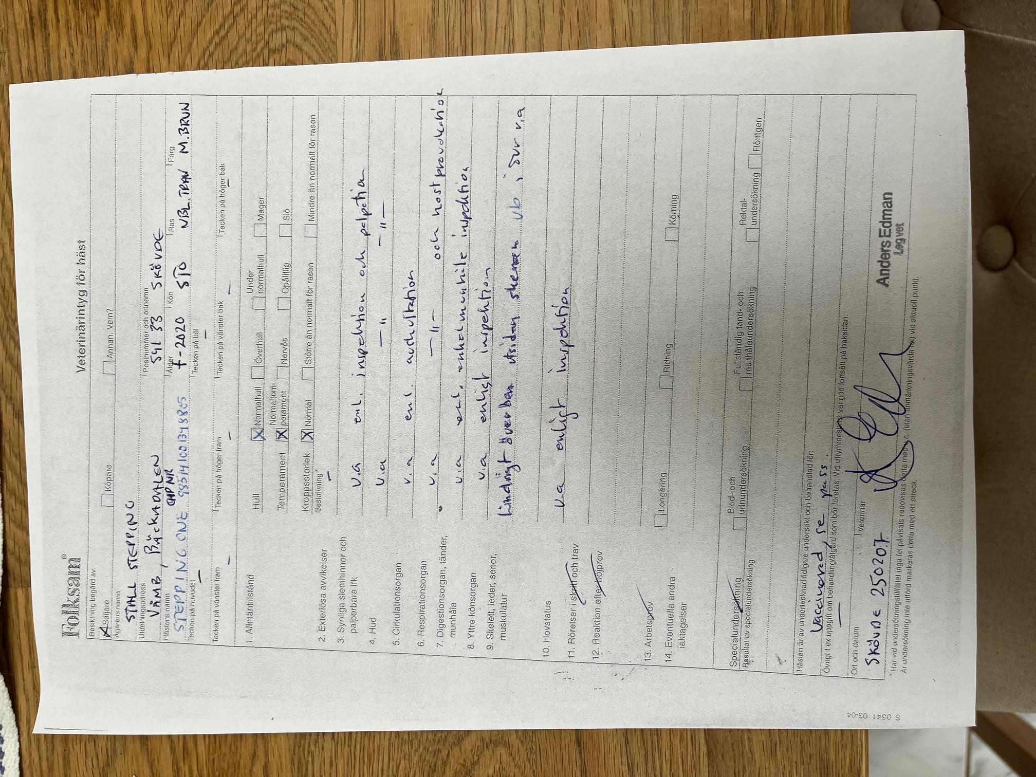 Stepping One – Travera.nu