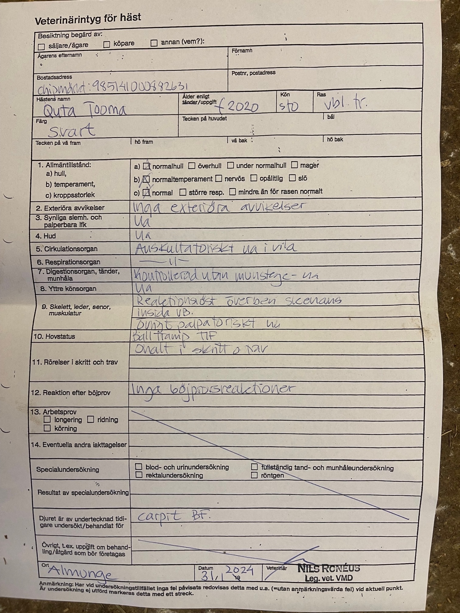 Quta Tooma – Travera.nu