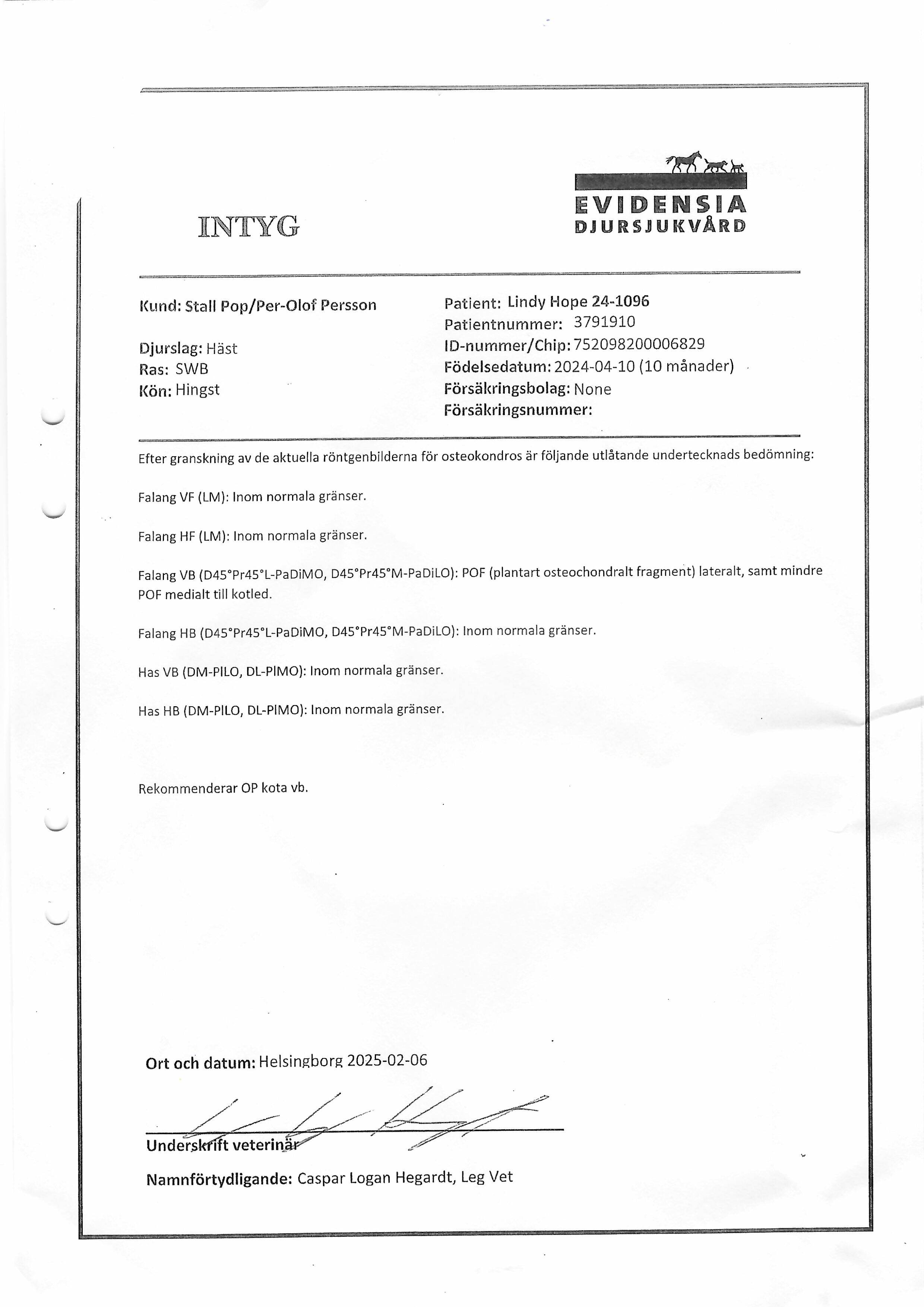 Lindy Hope – Travera.nu