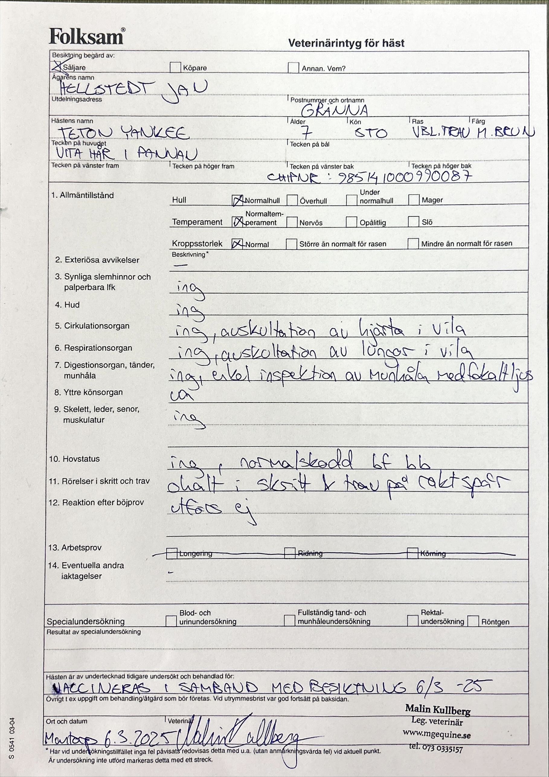 Teton Yankee – Travera.nu