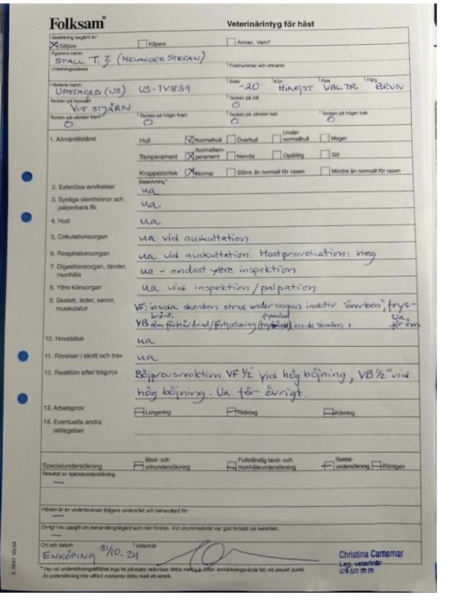 Upstaged – Travera.nu