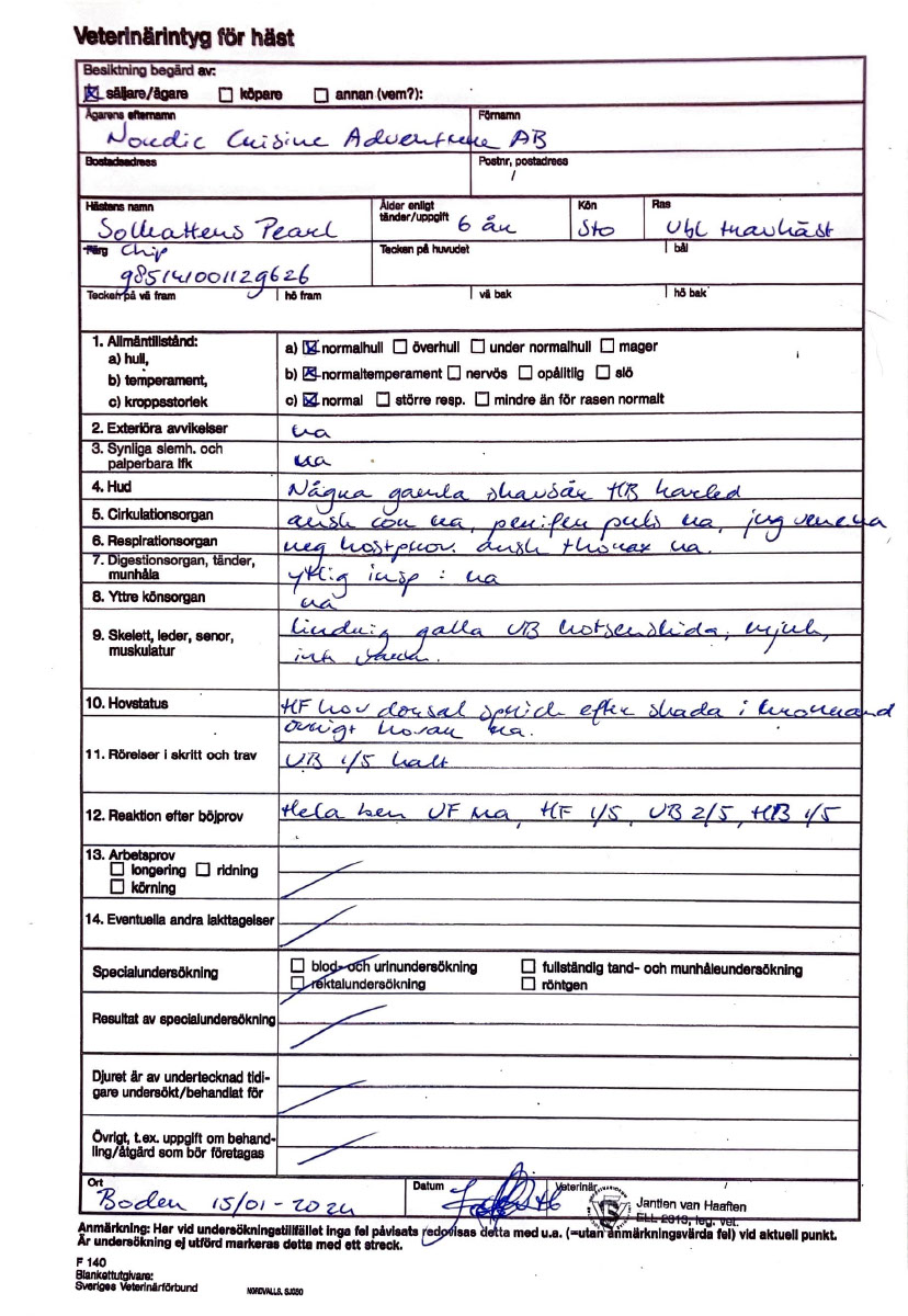 Solkattens Pearl – Travera.nu