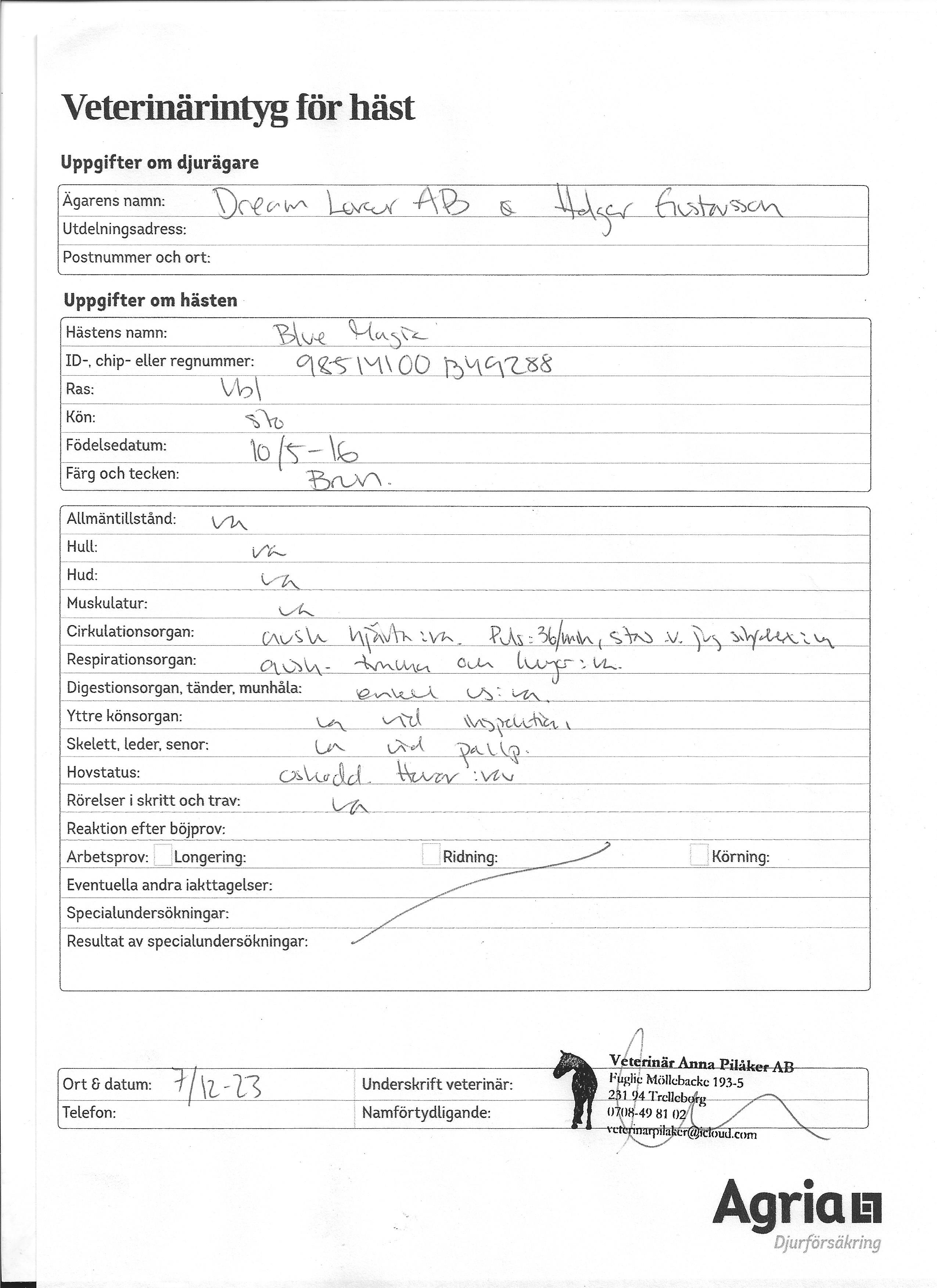 Blue Magic (US) – Travera.nu