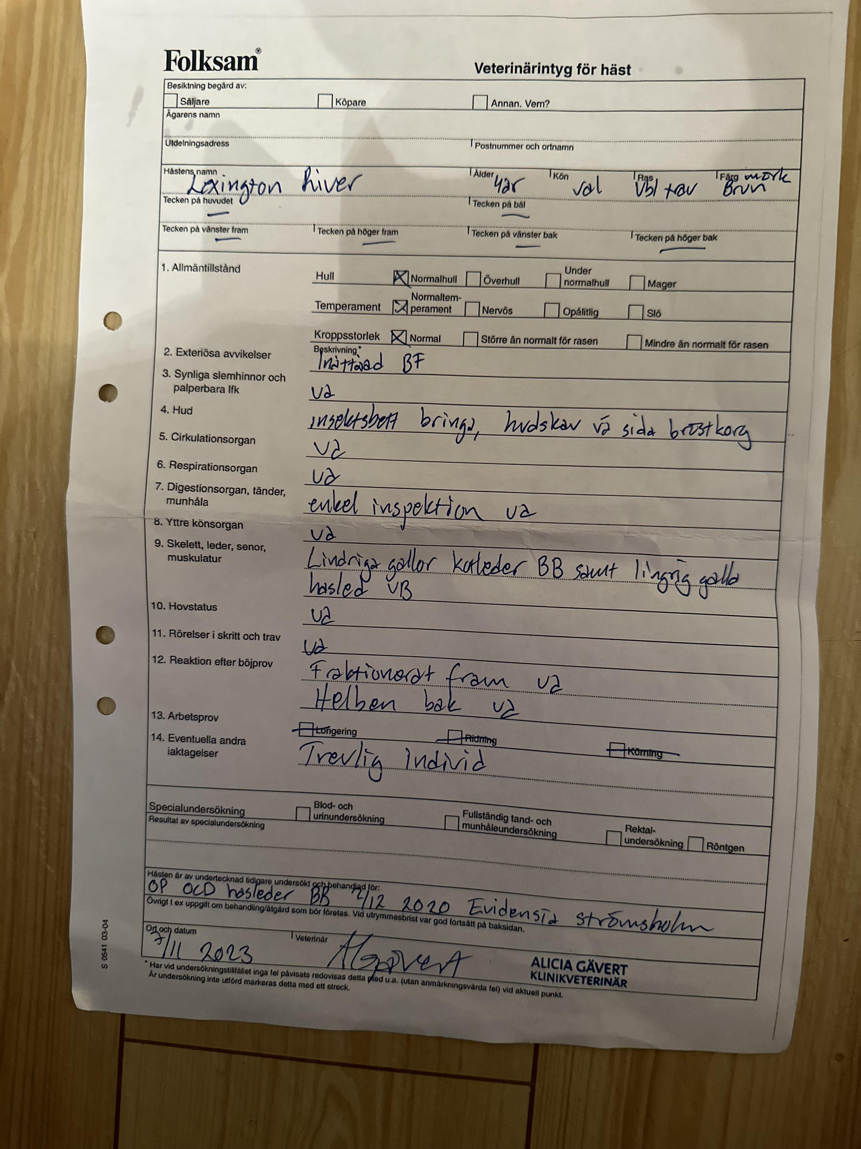 Lexington River – Travera.nu