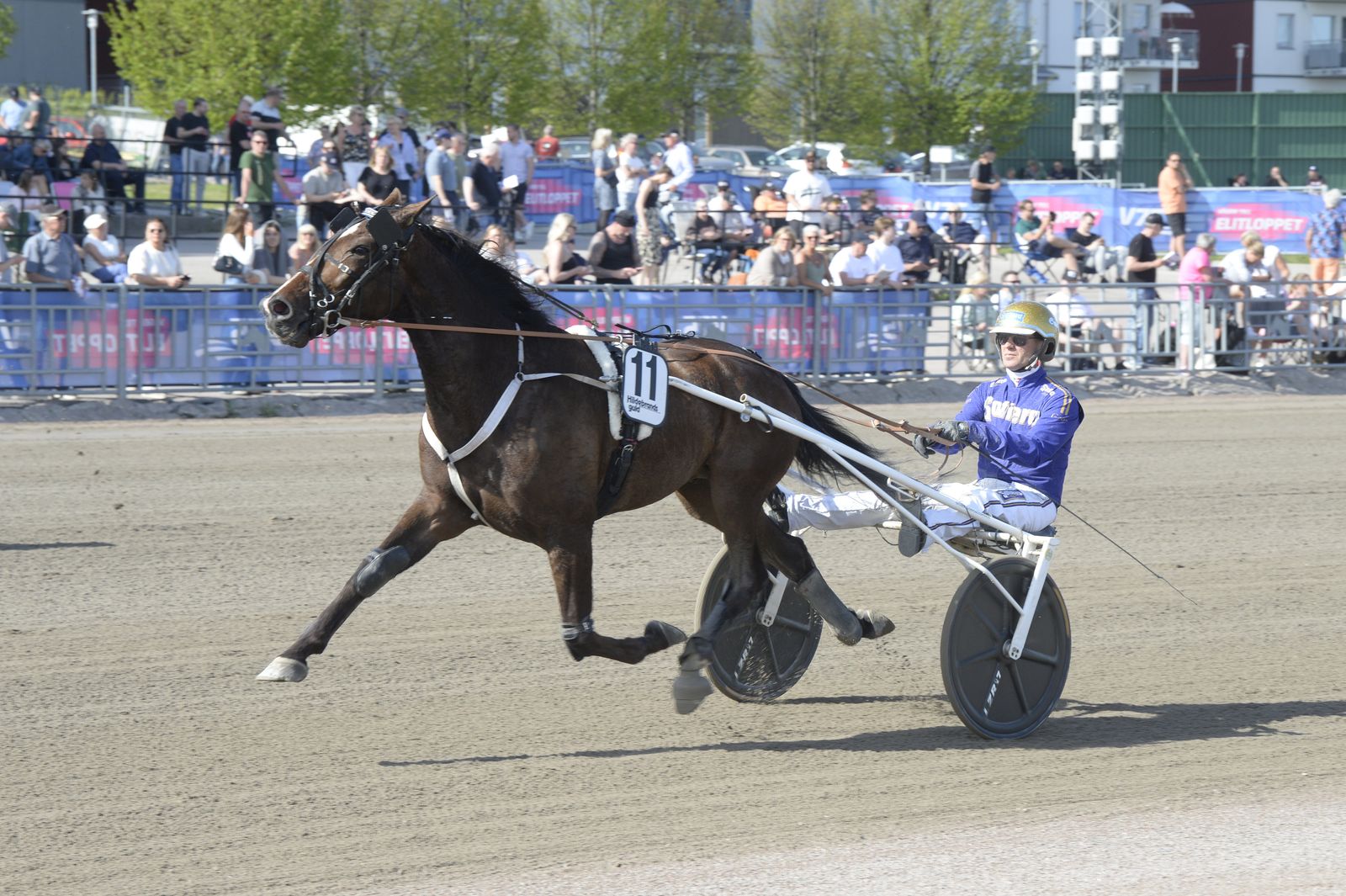 Blåste till på Travera – Aktuellt – Travera.nu