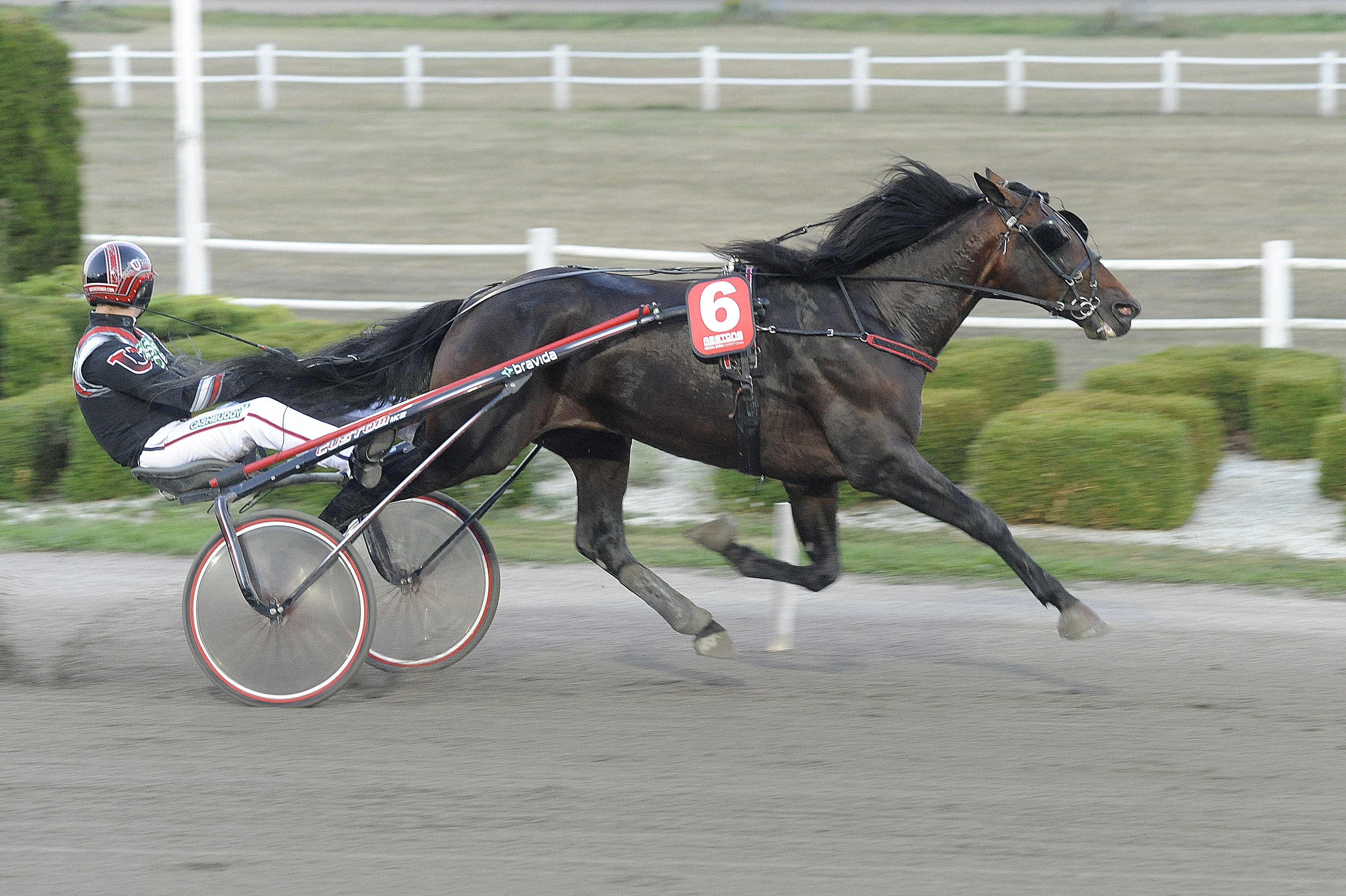 Rekordsiffror i tuffa tider – Aktuellt – Travera.nu