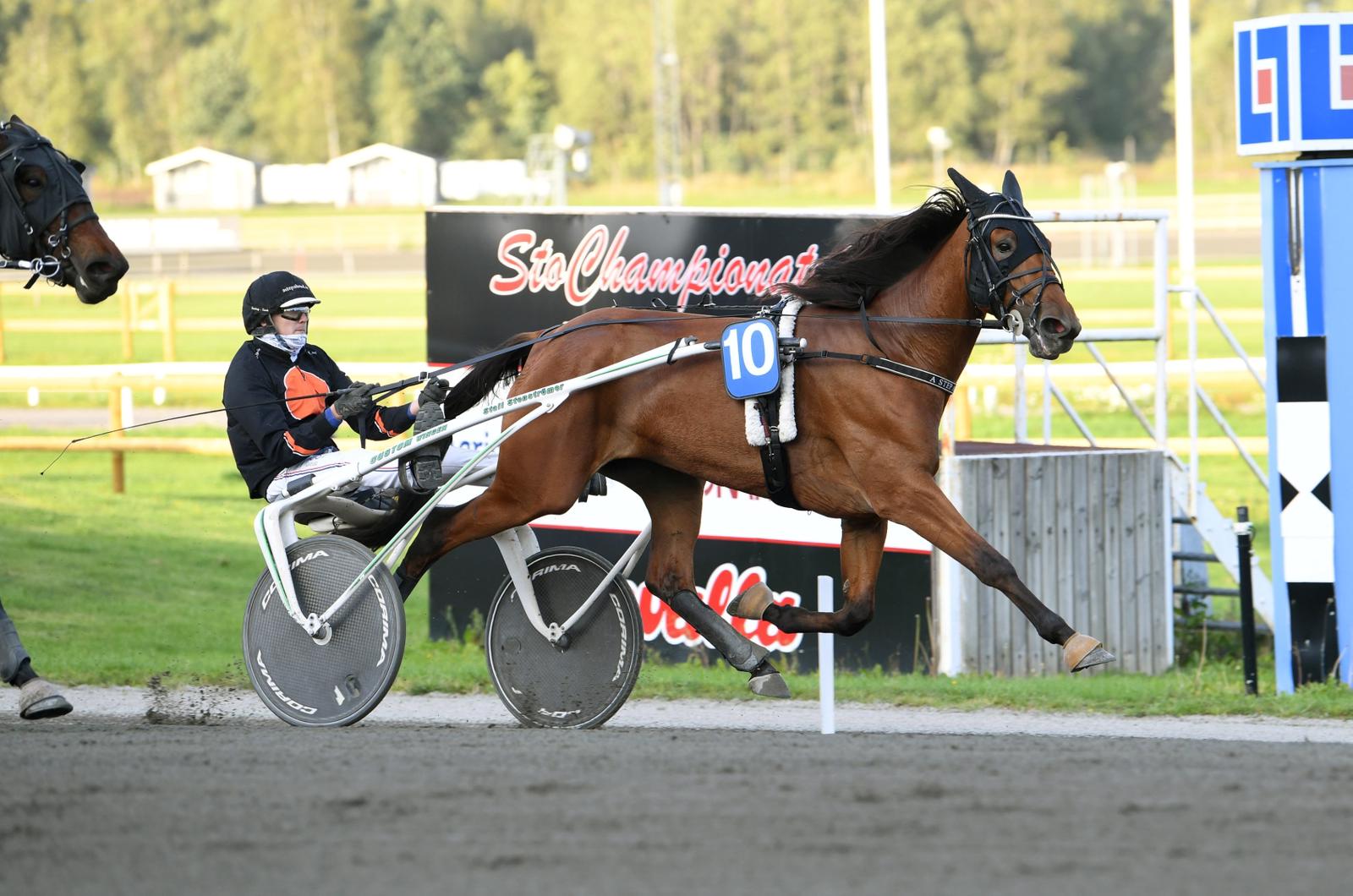 Tvååring kostade mest – Aktuellt – Travera.nu