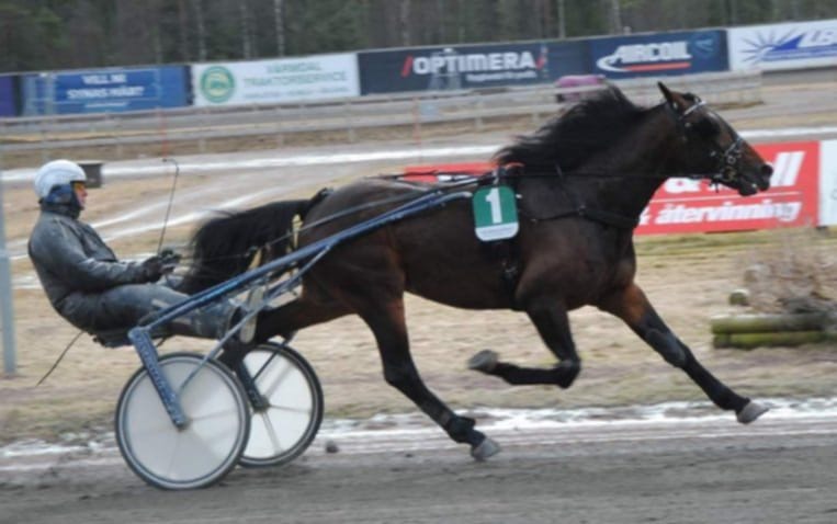 Pack Control över halvmiljonen – Aktuellt – Travera.nu