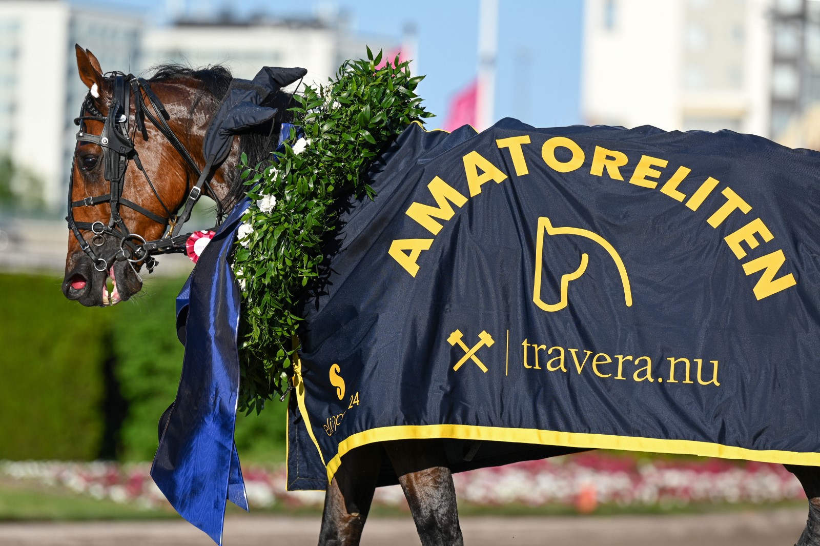 Traveraloppet 2024 – 9 oktober – Aktuellt – Travera.nu