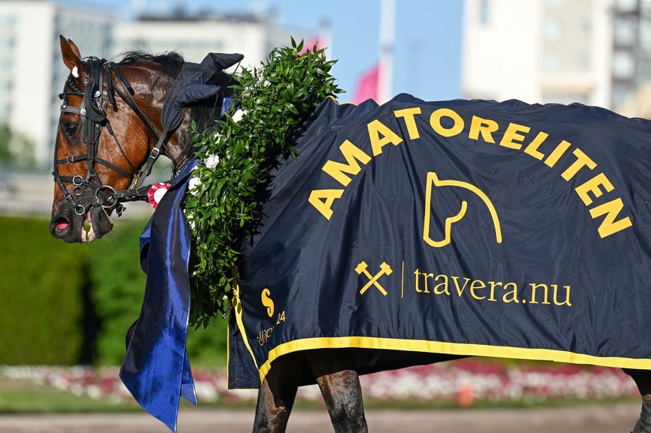 Traveraloppet 2025 - 10 oktober – Aktuellt – Travera.nu